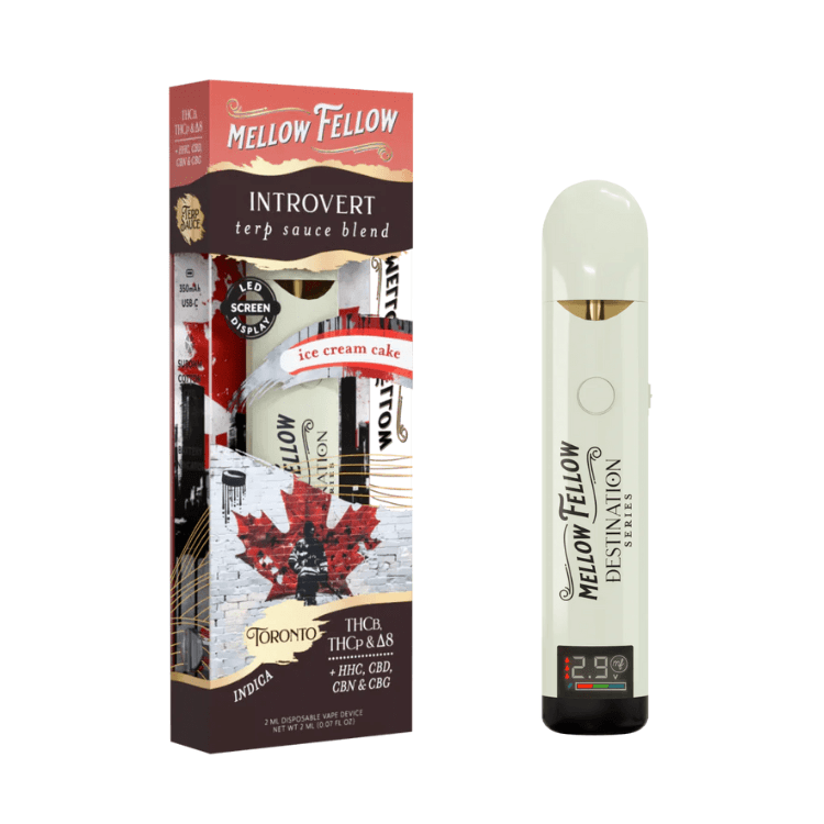 Mellow Fellow Introvert Terp Sauce Blend 2G Disposable Vape – Hemp City USA